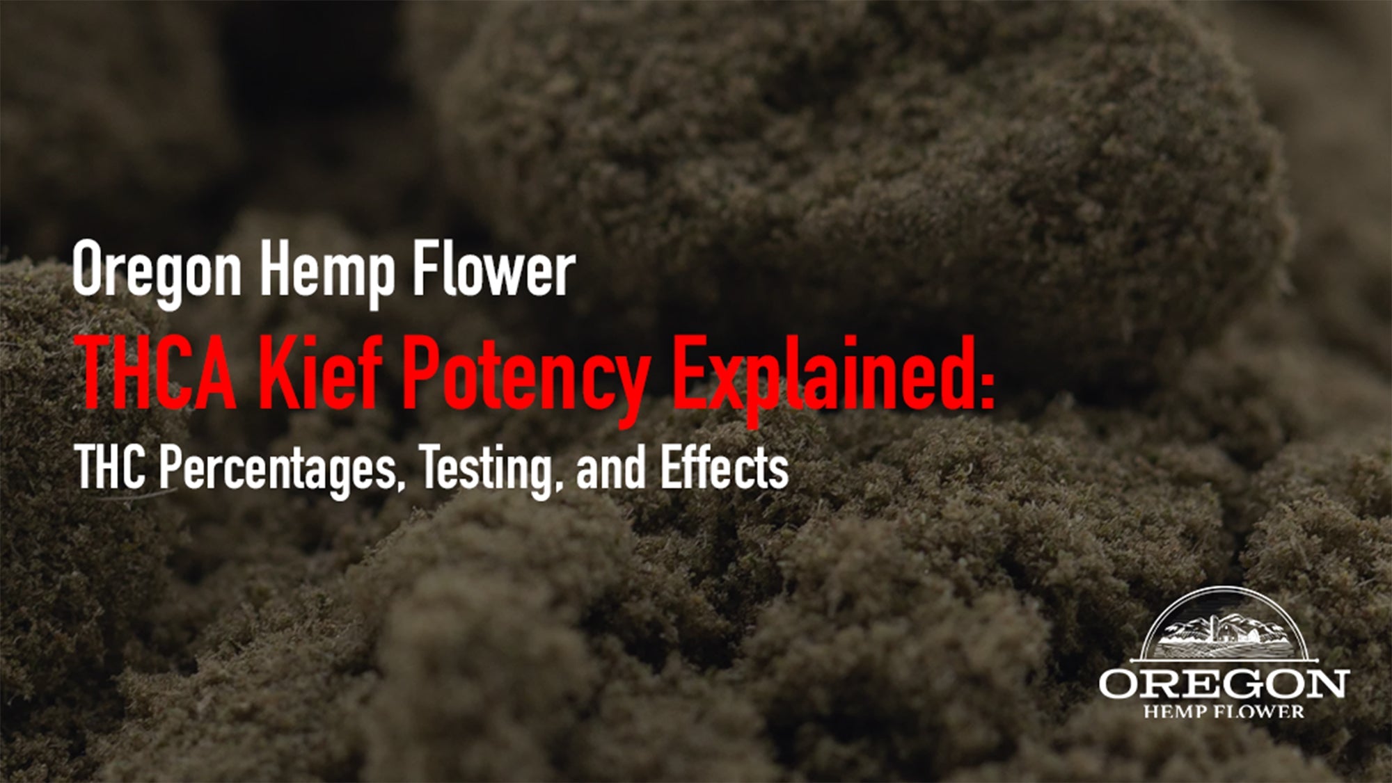 THCA Kief Potency Explained: THC Percentages, Testing, and Effects