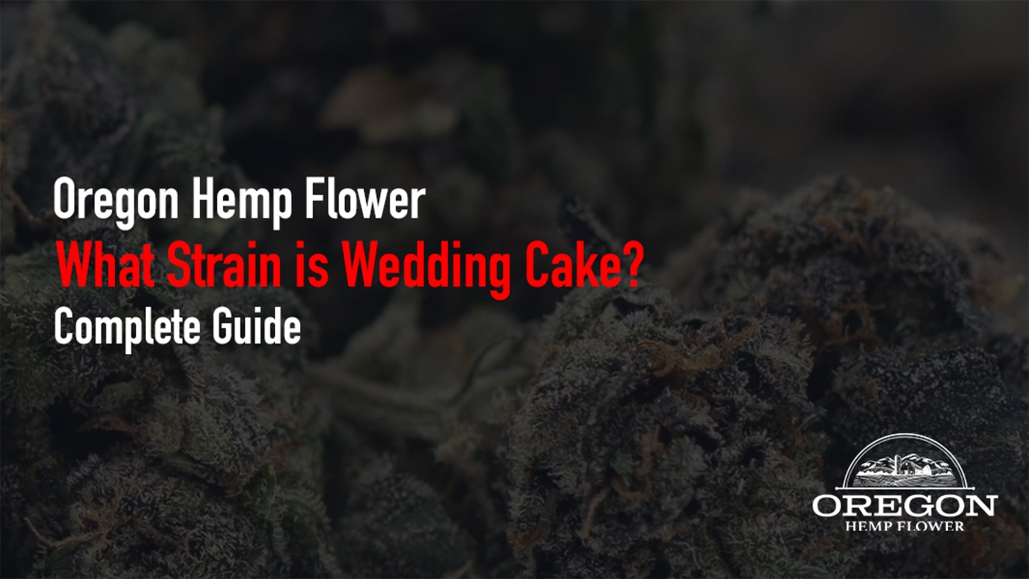 What Strain is Wedding Cake? Complete Guide