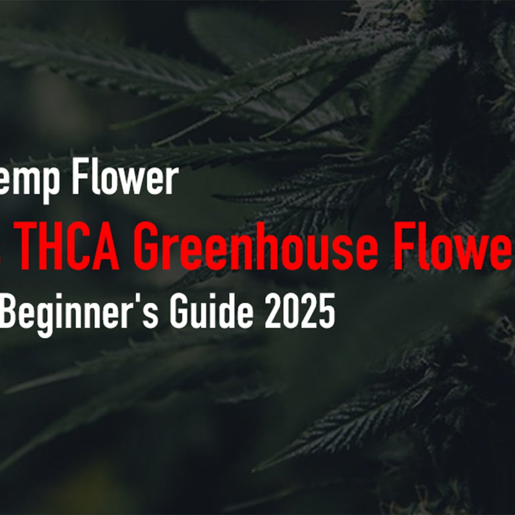 What is THCA Greenhouse Flower? Complete Beginner's Guide 2025