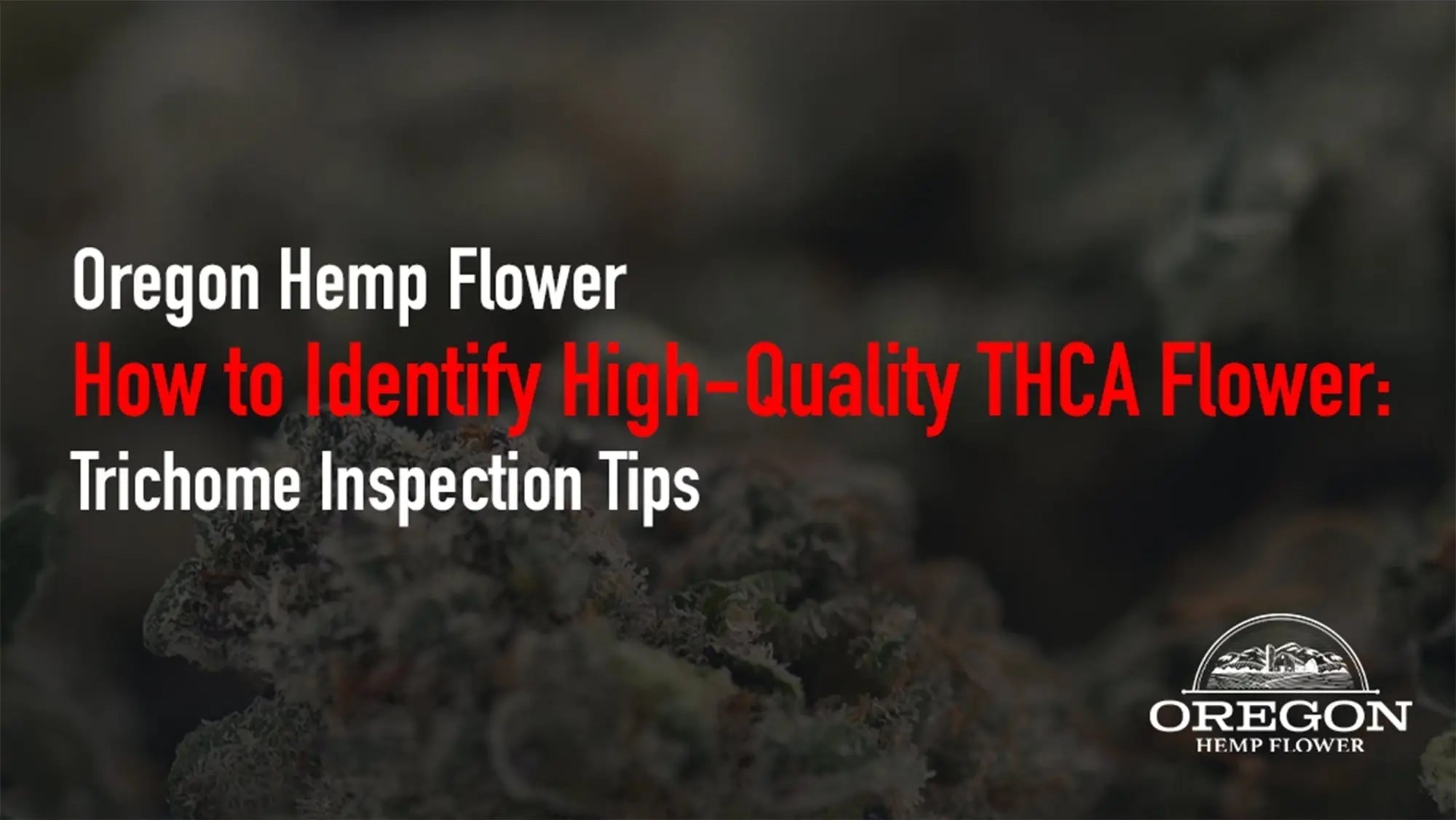 How to Identify High Quality THCA Flower: Trichome Inspection Tips