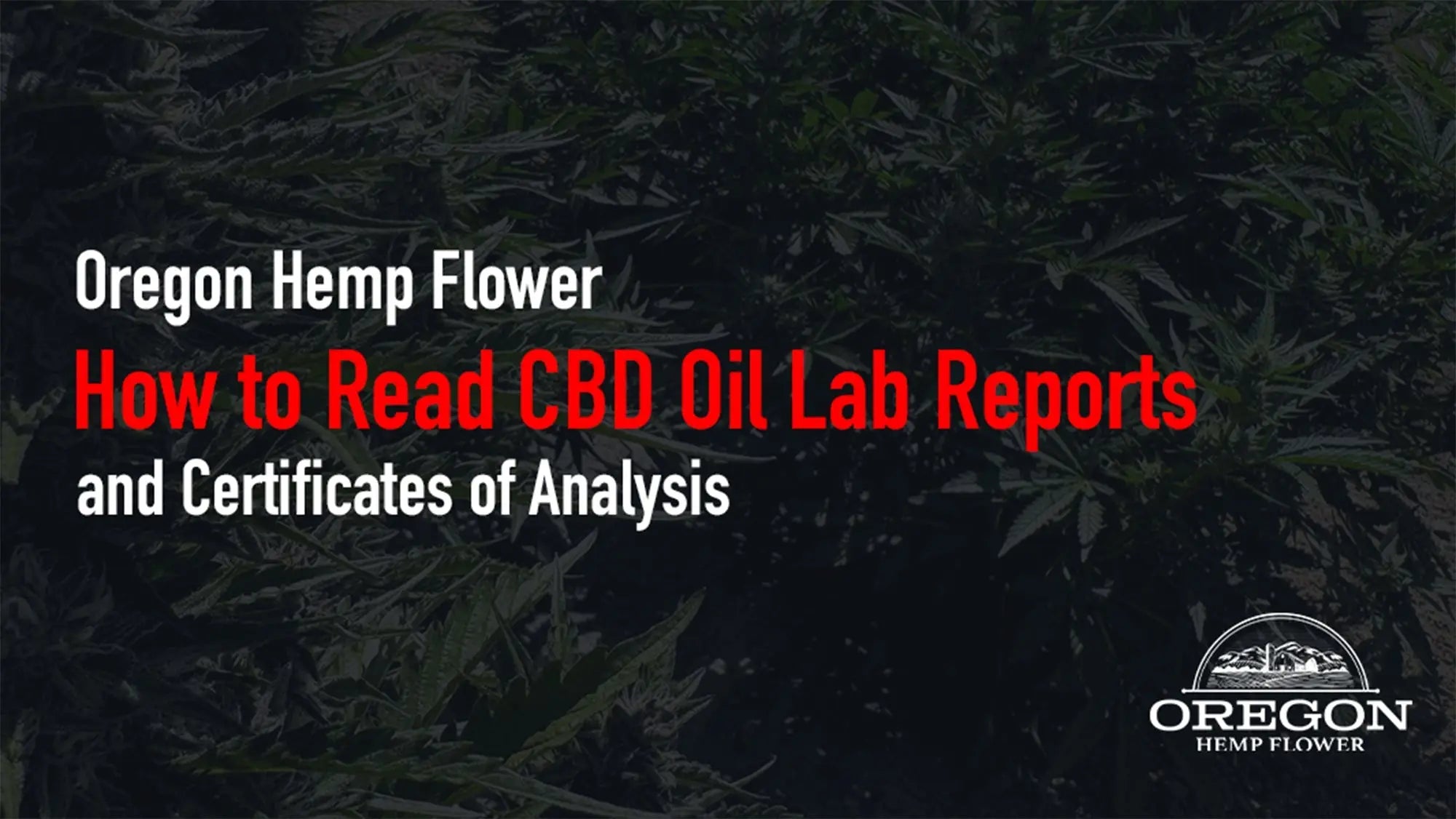 How to Read CBD Oil Lab Reports and Certificates of Analysis