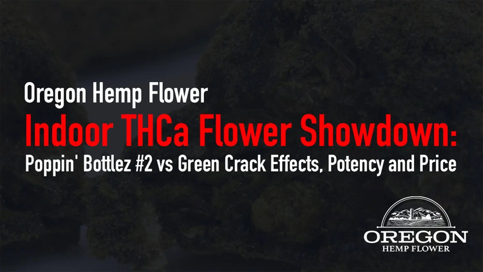 Poppin' Bottlez #2 vs Green Crack Effects, Potency and Price