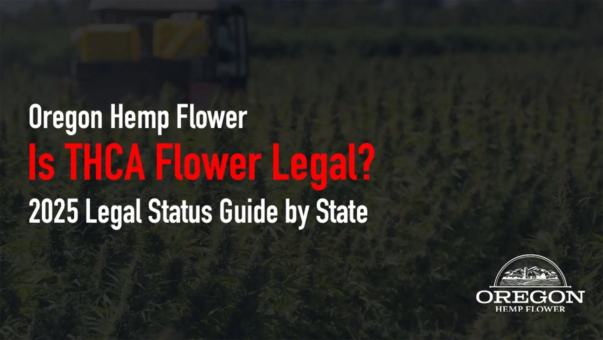 Is THCA Flower Legal? 2025 Legal Status Guide by State