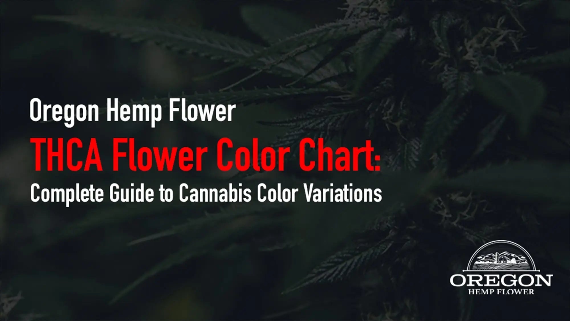 THCA Flower Color Chart: Complete Guide to Cannabis Color Variations