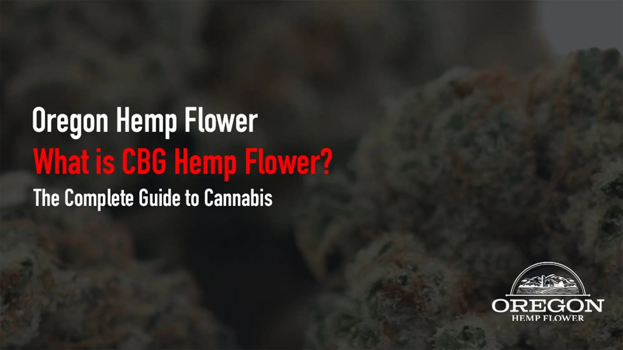 What is CBG Hemp Flower? The Complete Guide to Cannabis