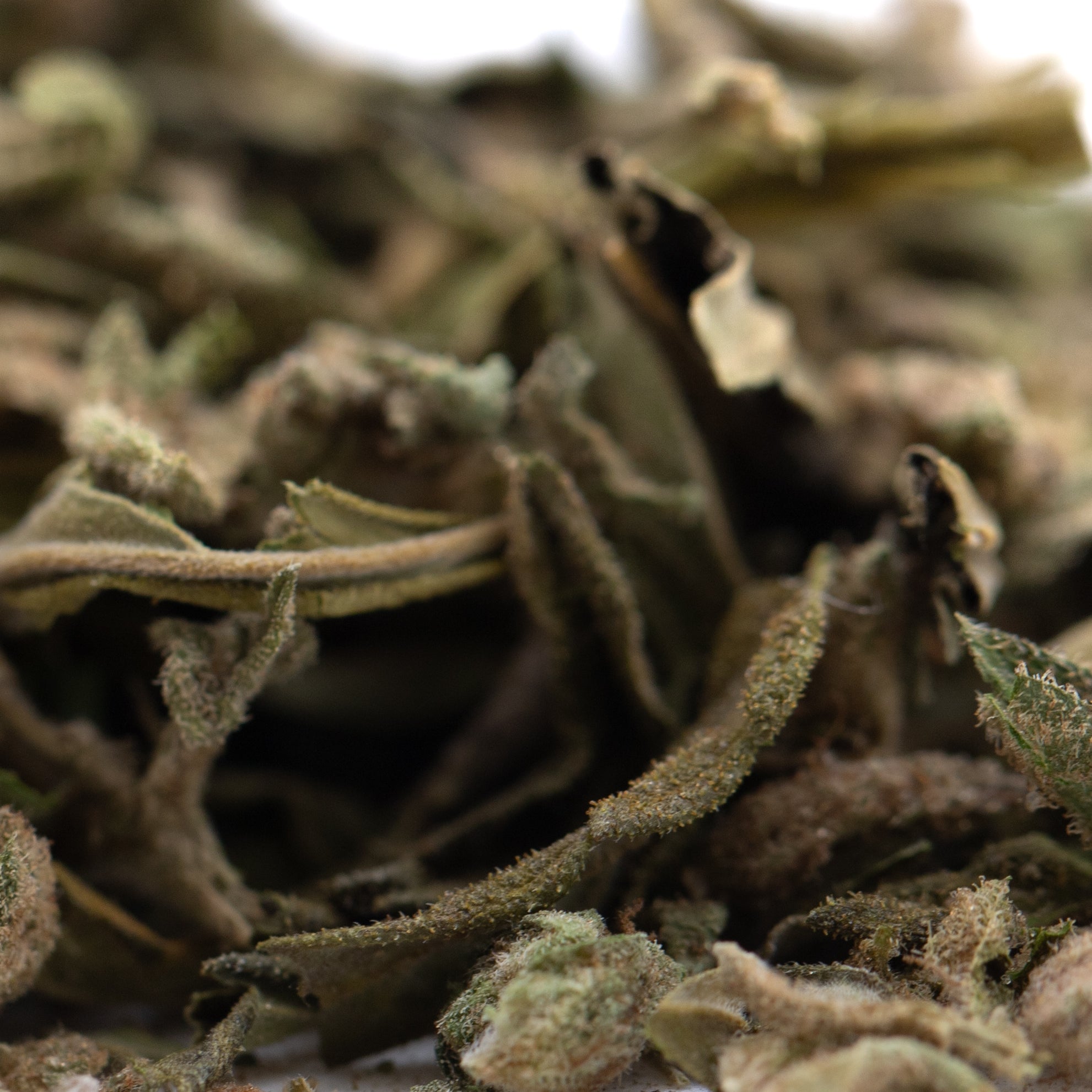 Banana OG THCa Trim - THCa Flower Shake and Trim Wholesale