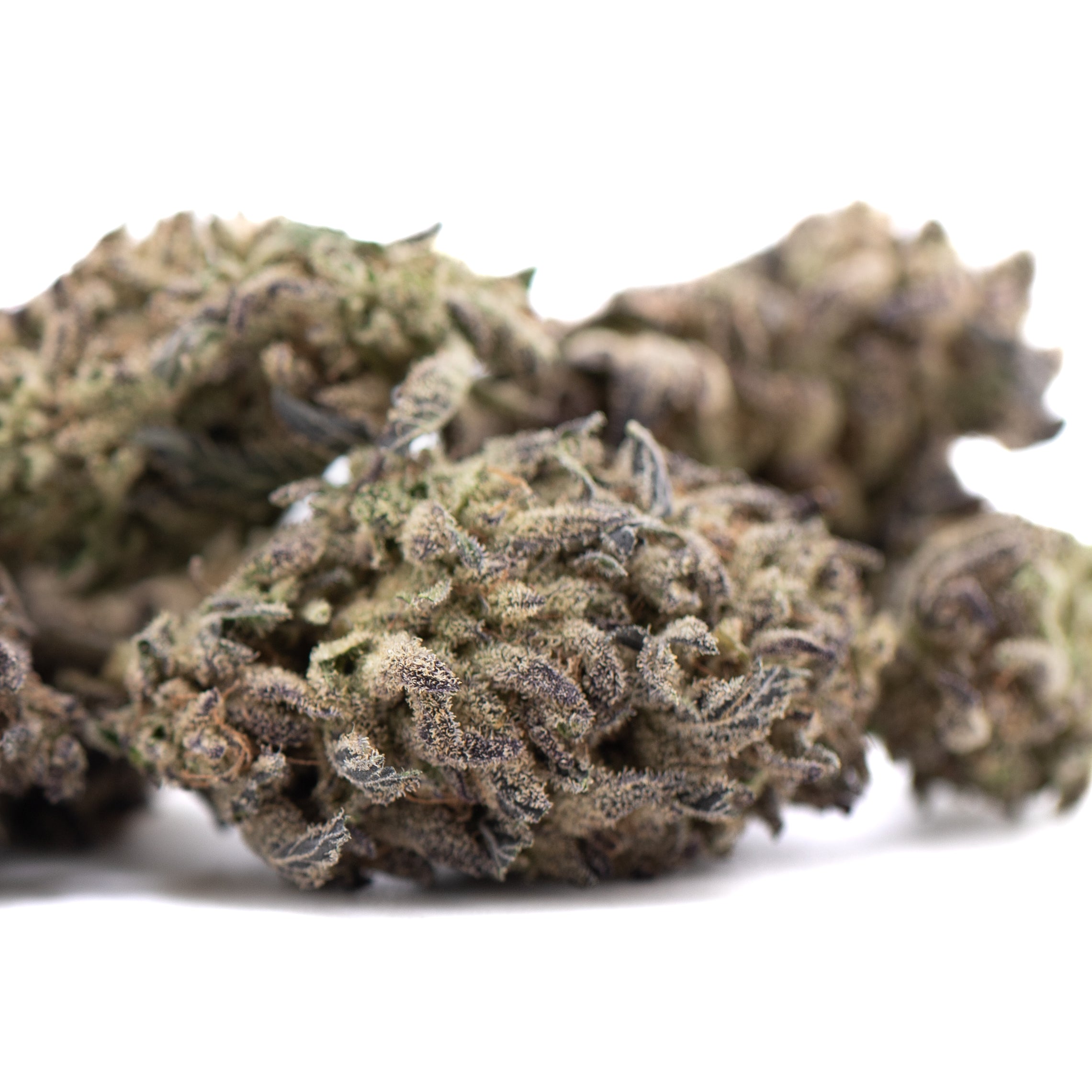 Blue Sugar THCa Hemp Flower Greenhouse Wholesale - Blue Sugar THCa Flower