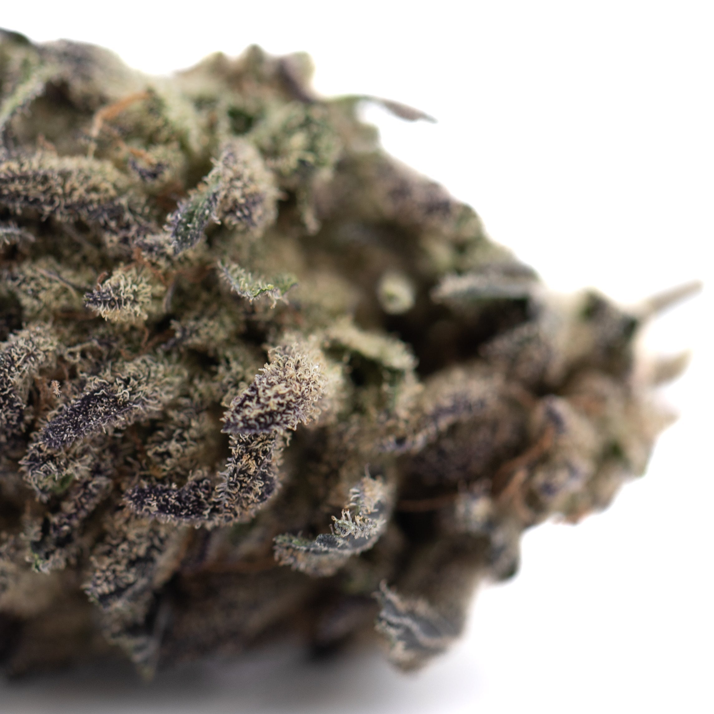 Blue Sugar THCa Hemp Flower Greenhouse Wholesale - Blue Sugar THCa Flower