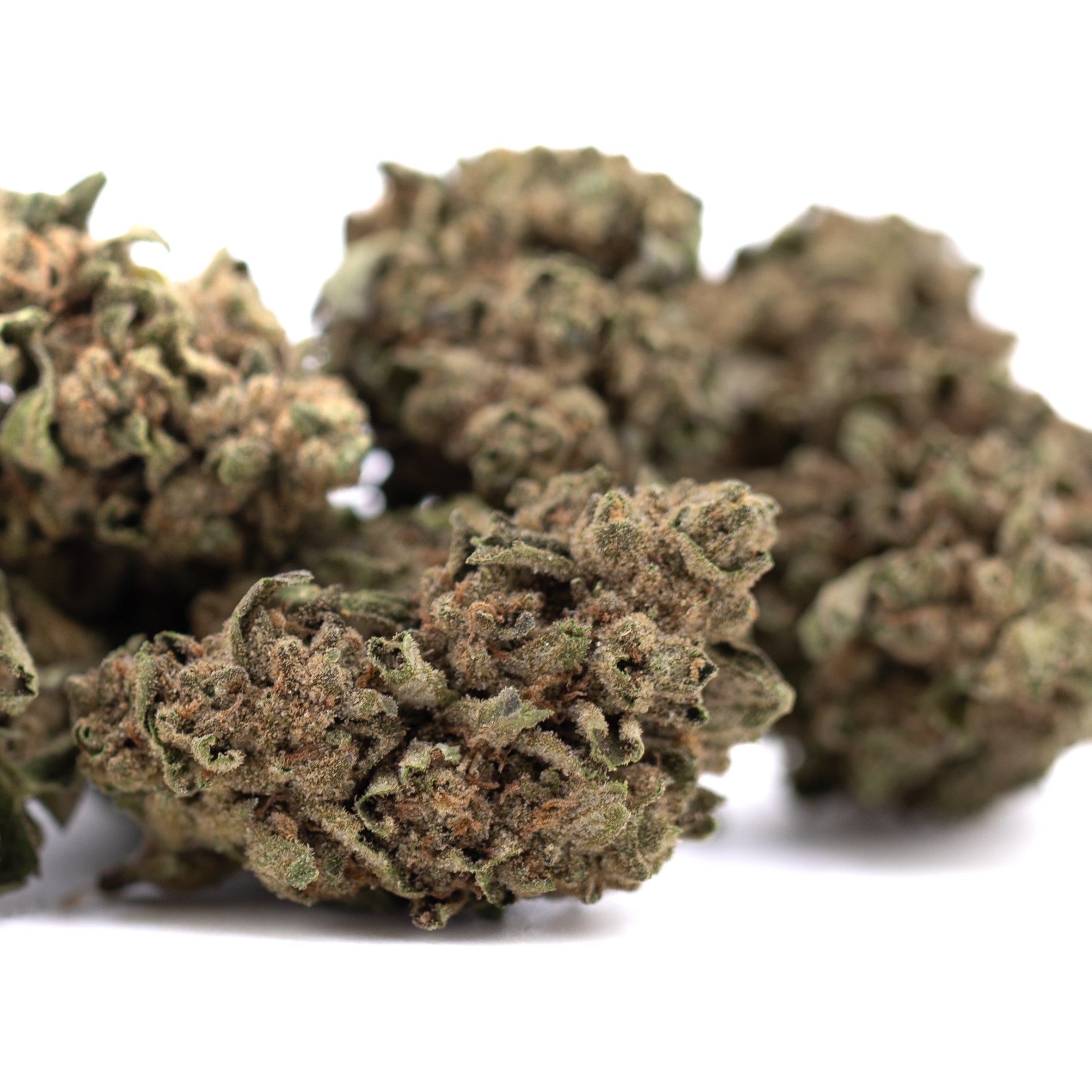 Canal Street Runtz THCa Hemp Flower Greenhouse Wholesale - THCa Flower