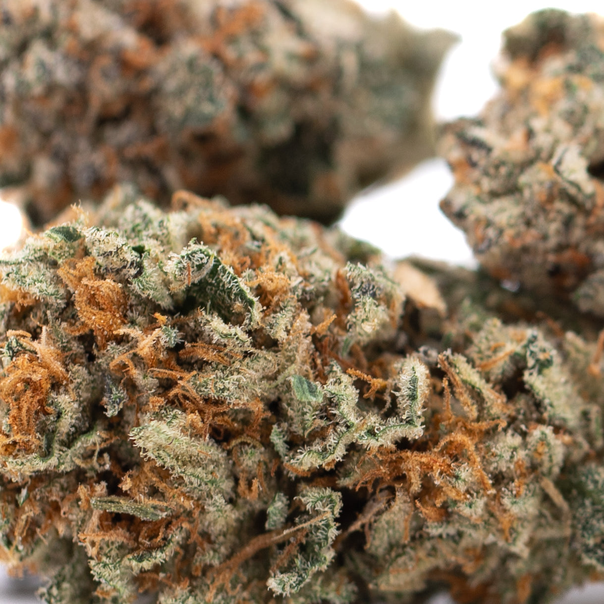 Crater Lake OG Indoor THCa Flower - Oregon Hemp Flower Indoor THCA Flower