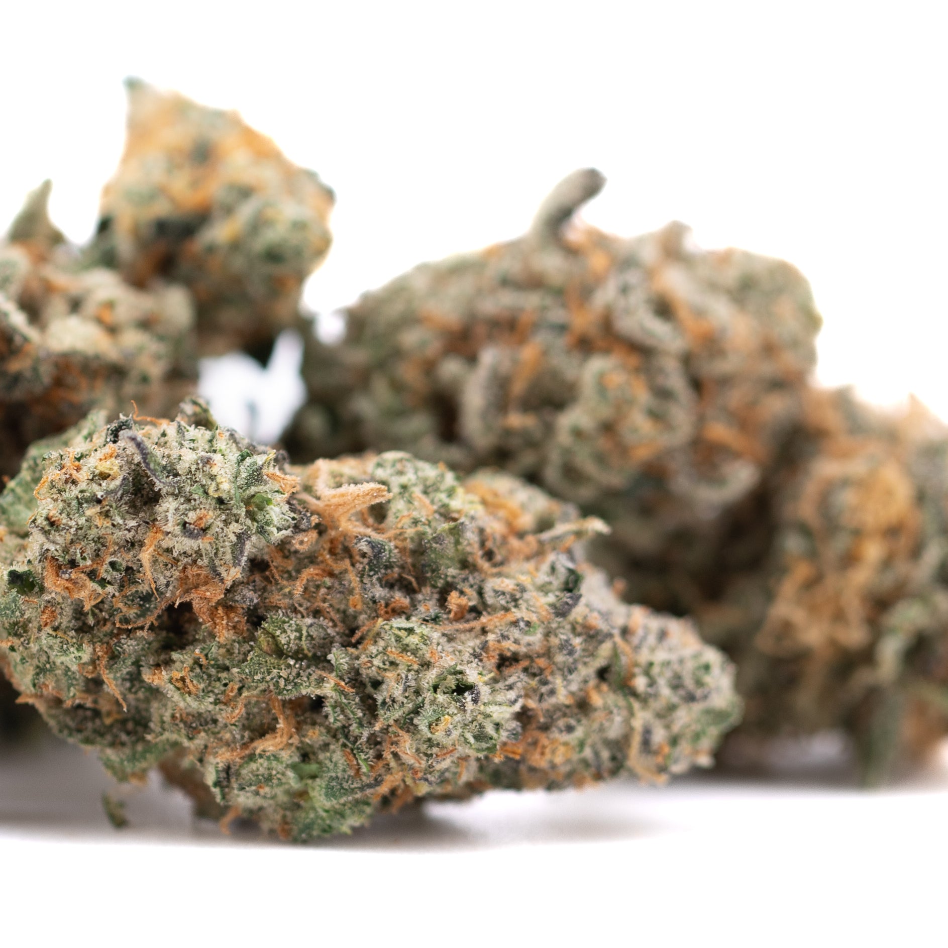 Crater Lake OG Indoor THCa Flower - Oregon Hemp Flower Indoor THCA Flower