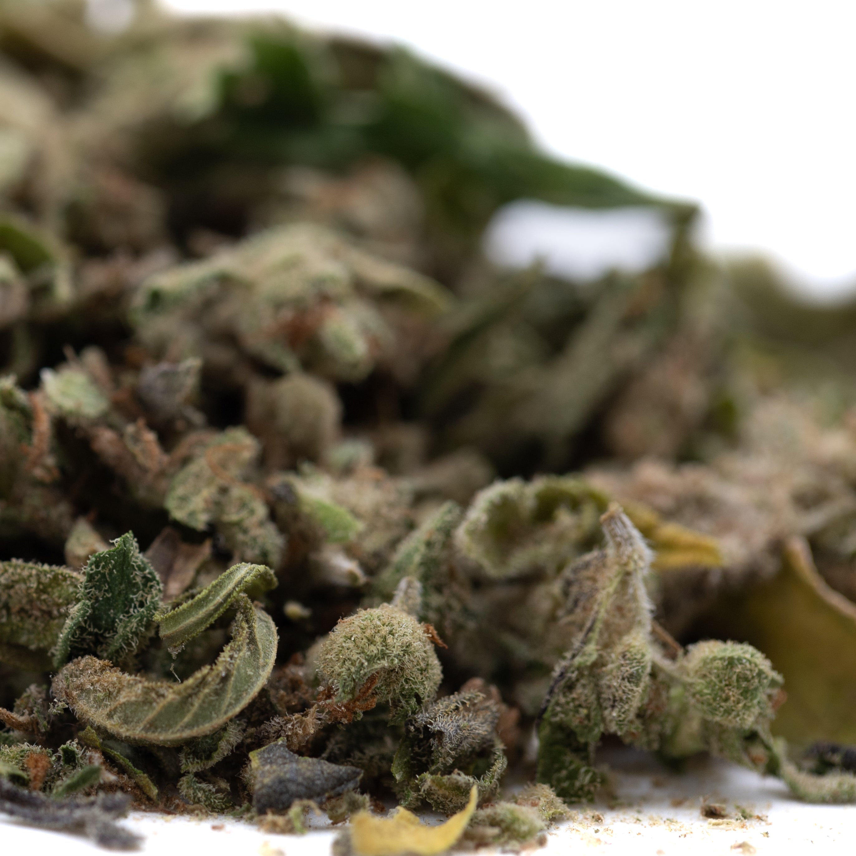 Durban Poison THCa Trim - THCa Flower Shake and Trim Wholesale