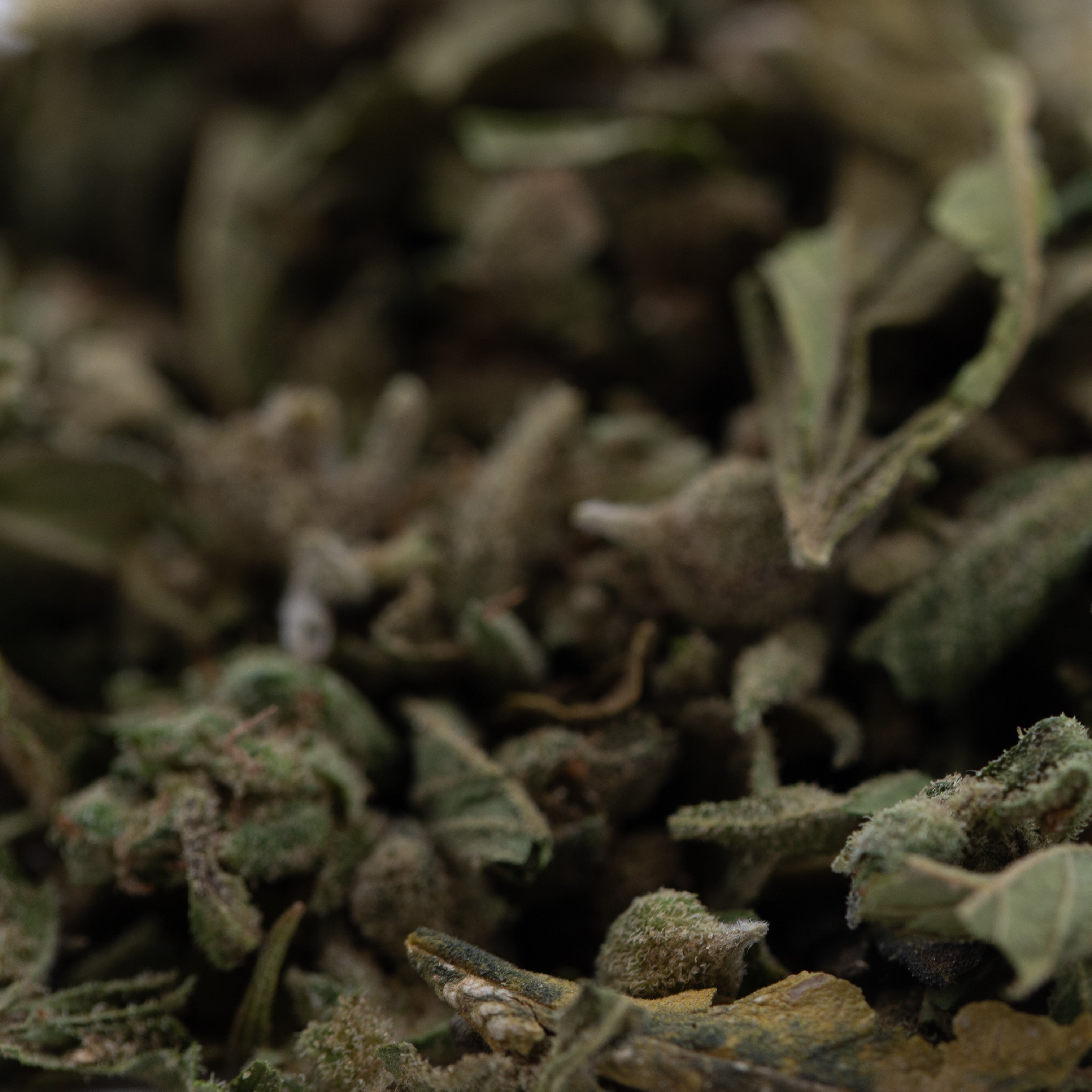 Emerald Fire THCa Trim - THCa Flower Shake and Trim Wholesale