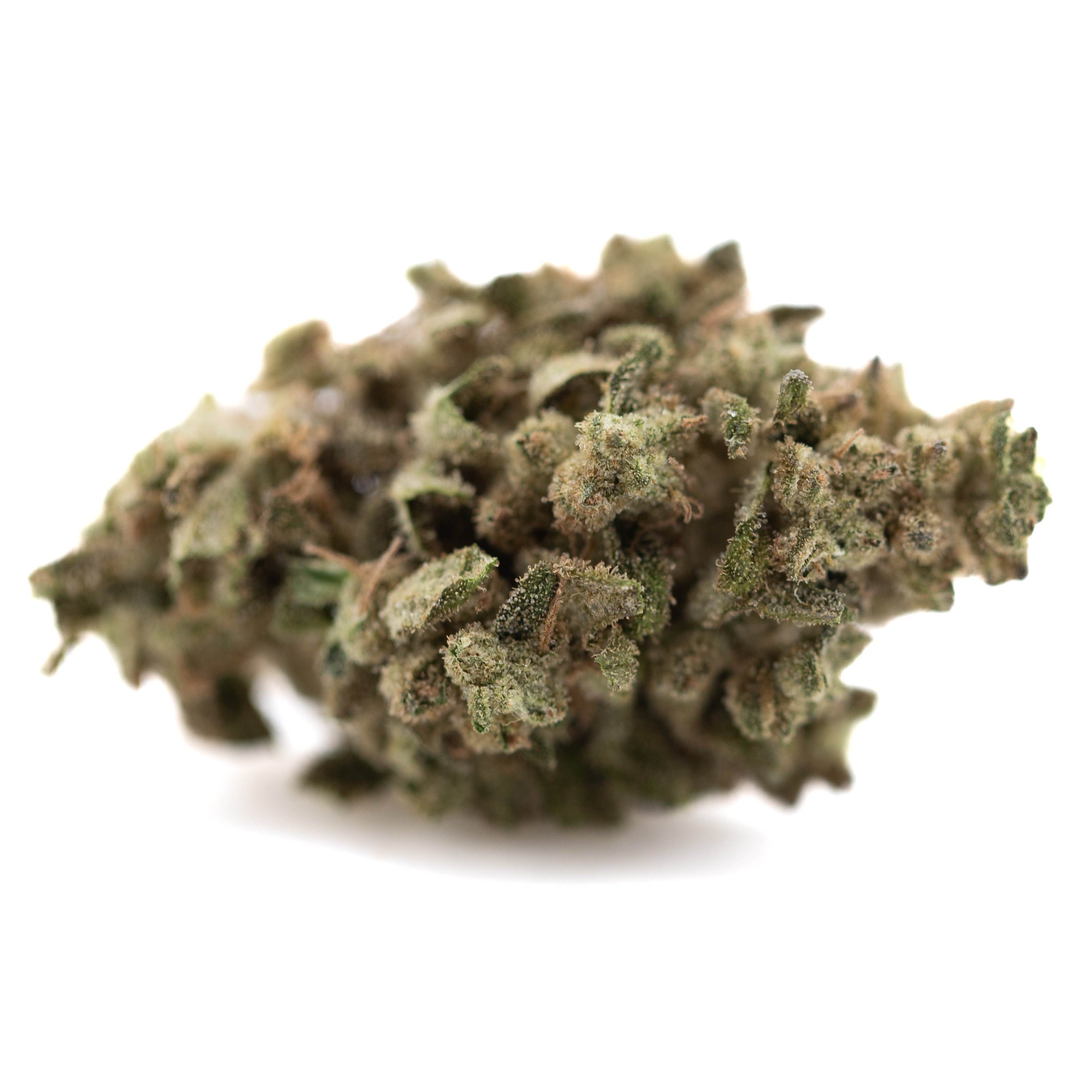 Fornicator THCa Hemp Flower Greenhouse Wholesale - Blue Sugar THCa Flower