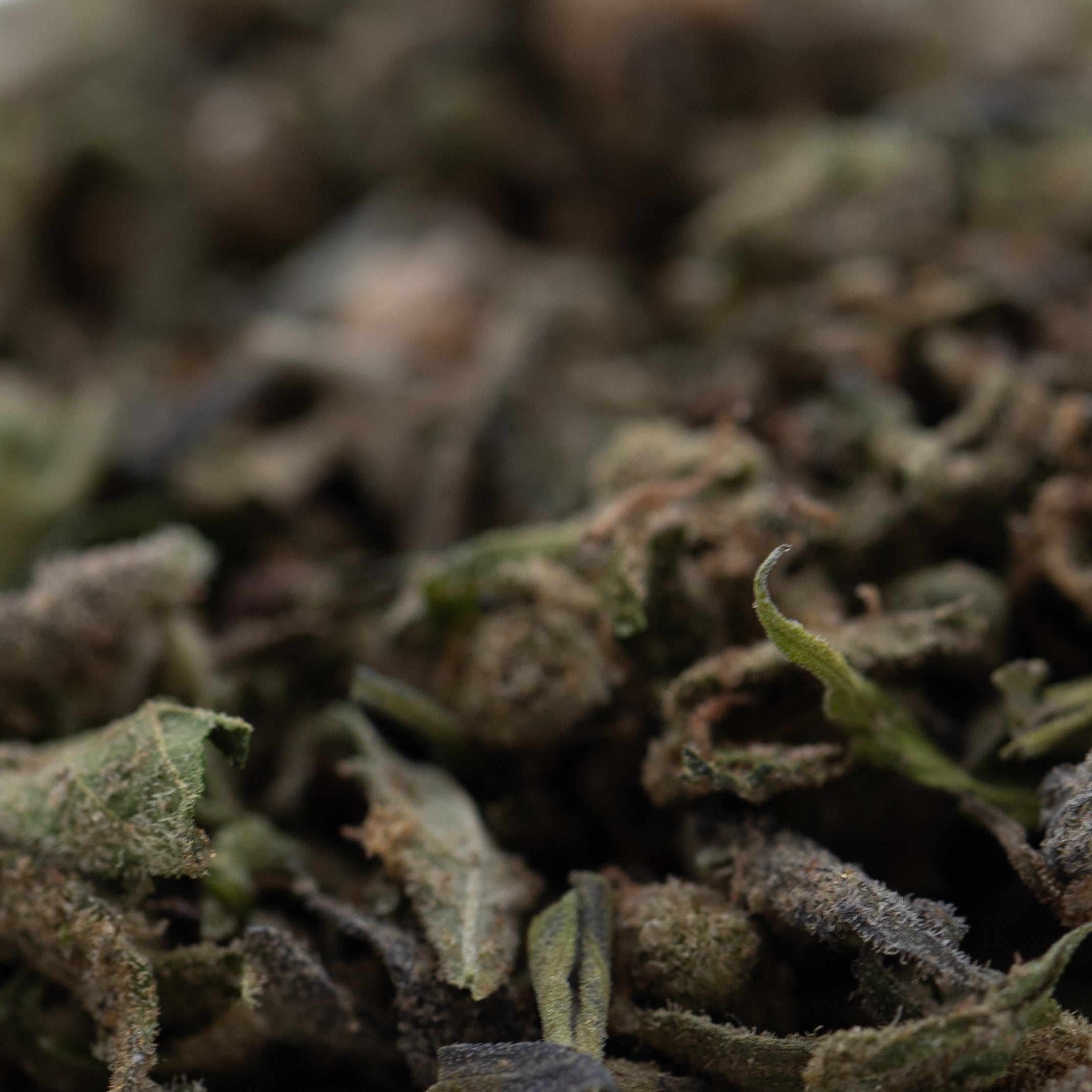 GMO THCa Trim - THCa Flower Shake and Trim Wholesale