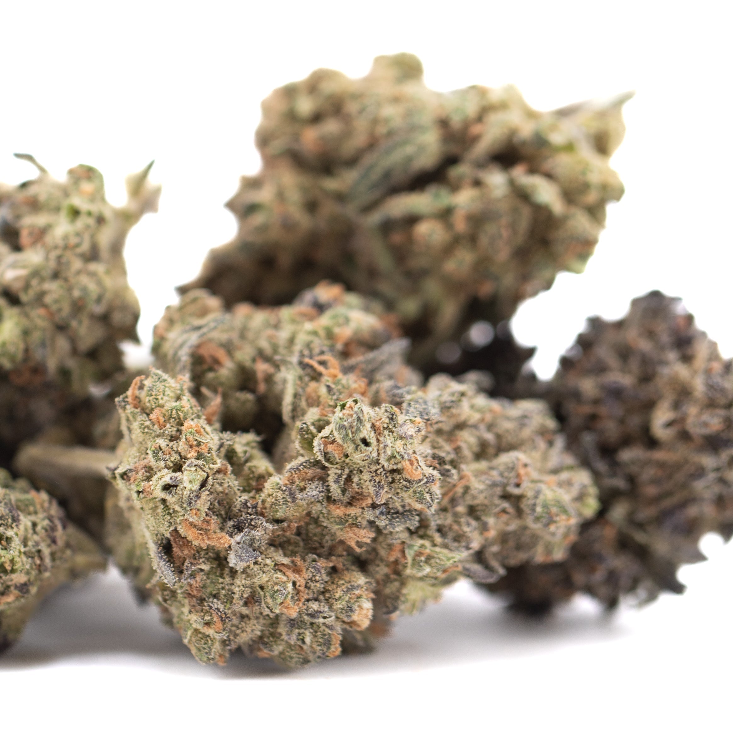 GMO THCa Flower Full-Term Wholesale - THCA Hemp Flower