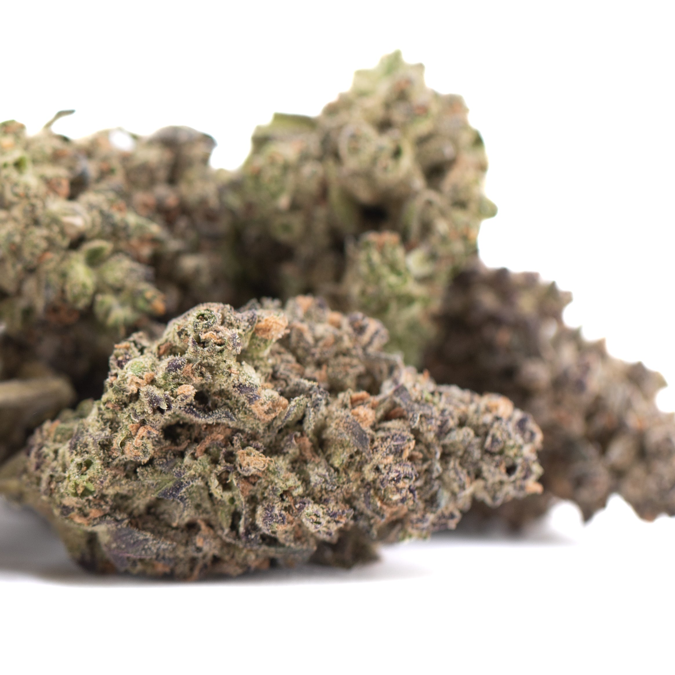 GMO THCa Flower Full-Term Wholesale - THCA Hemp Flower