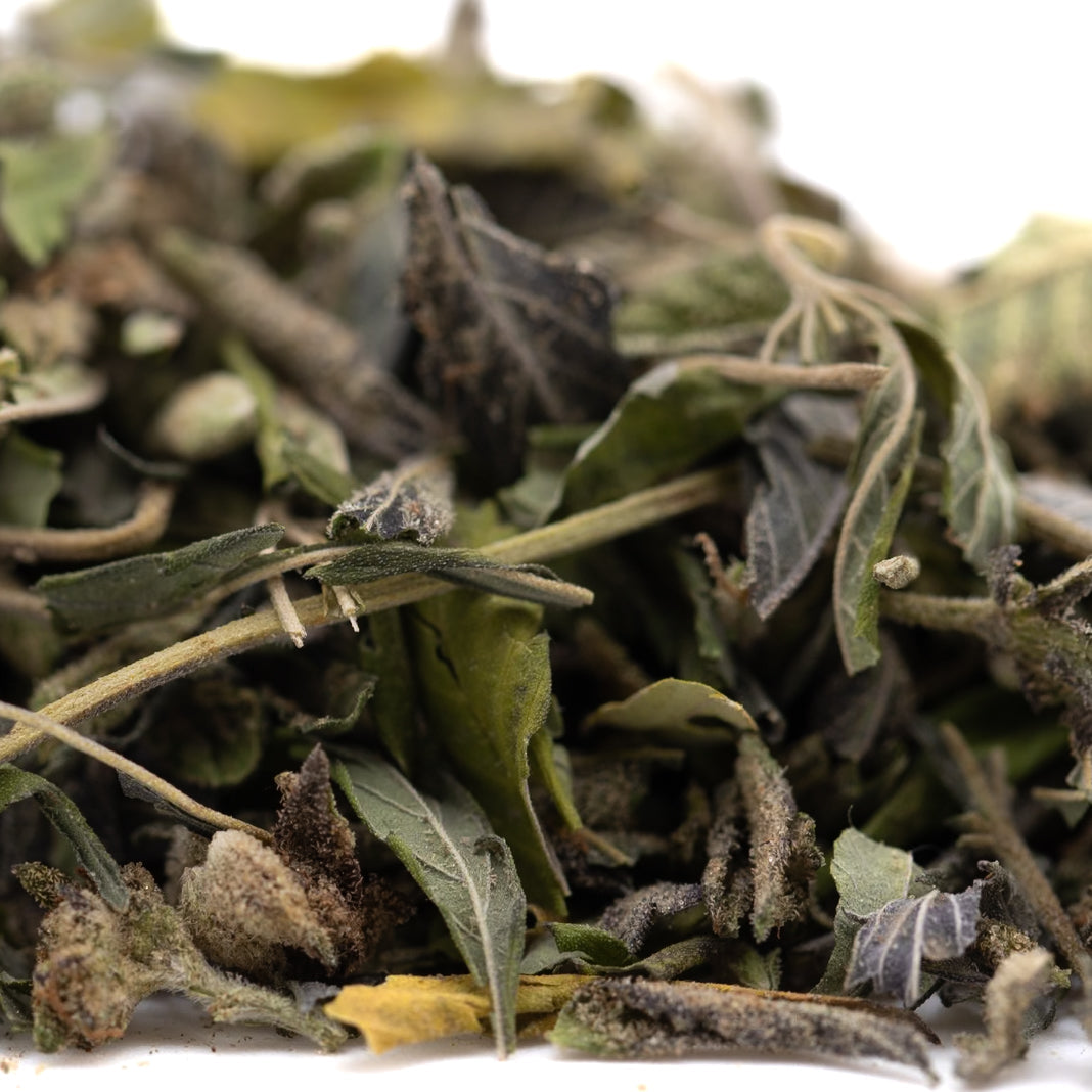 Gas Monkey Greenhouse THCa Trim Wholesale - Oregon Hemp Flower Trim