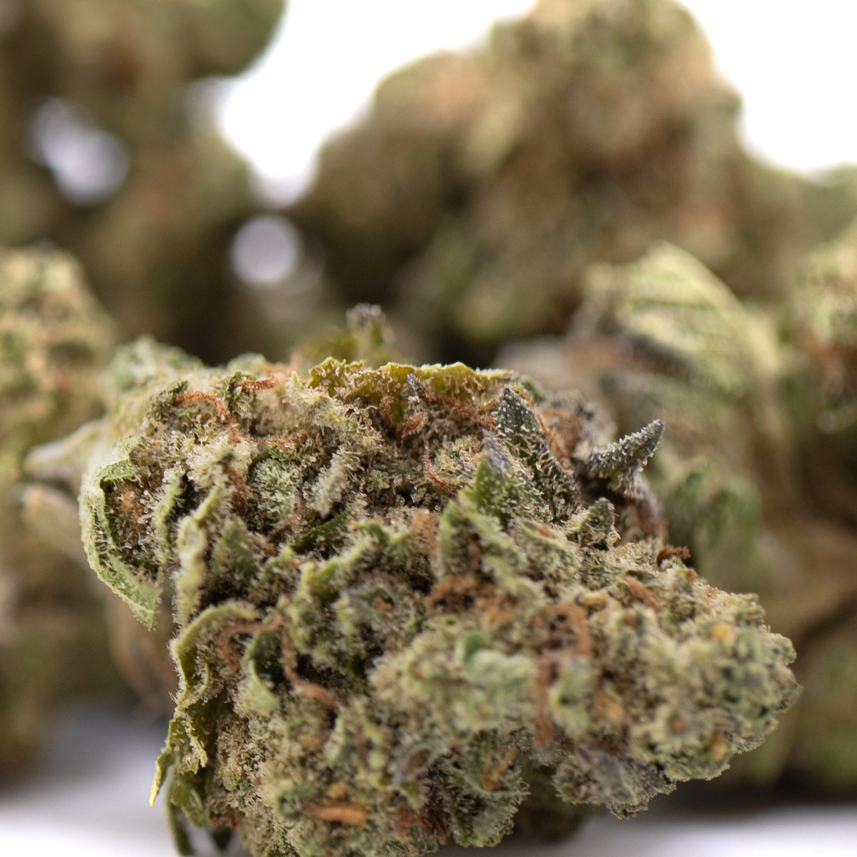 Gelato THCa Hemp Flower Greenhouse Smalls - THCa Small Buds