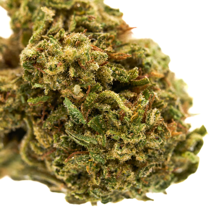 Hemp Flower - Oregon Hemp Flower