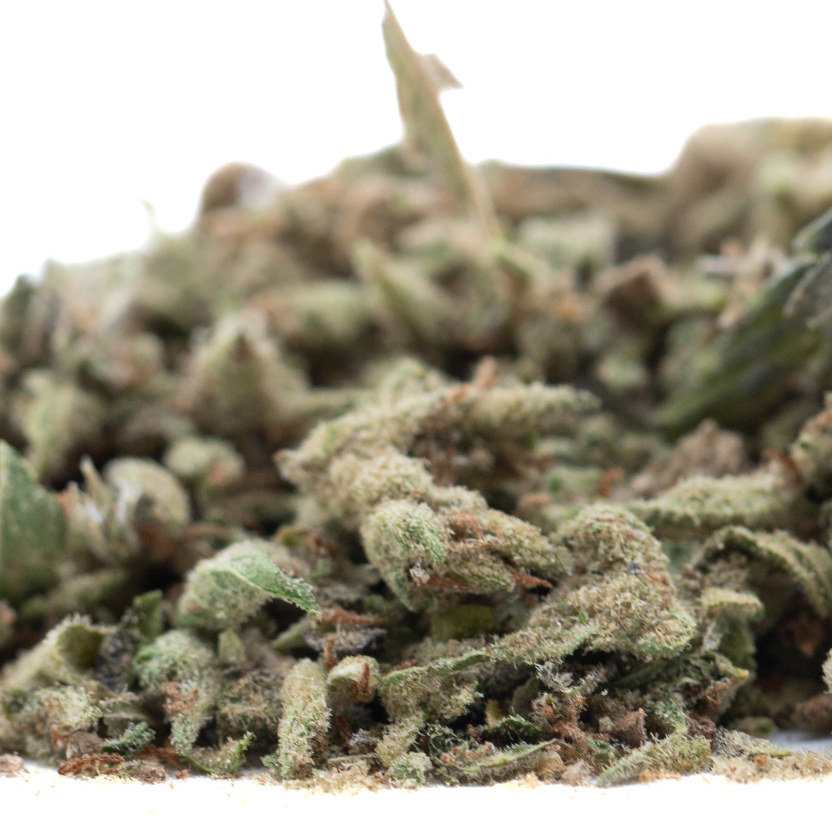 Mega Gummie Bearz THCa Trim - THCa Flower Shake and Trim Wholesale