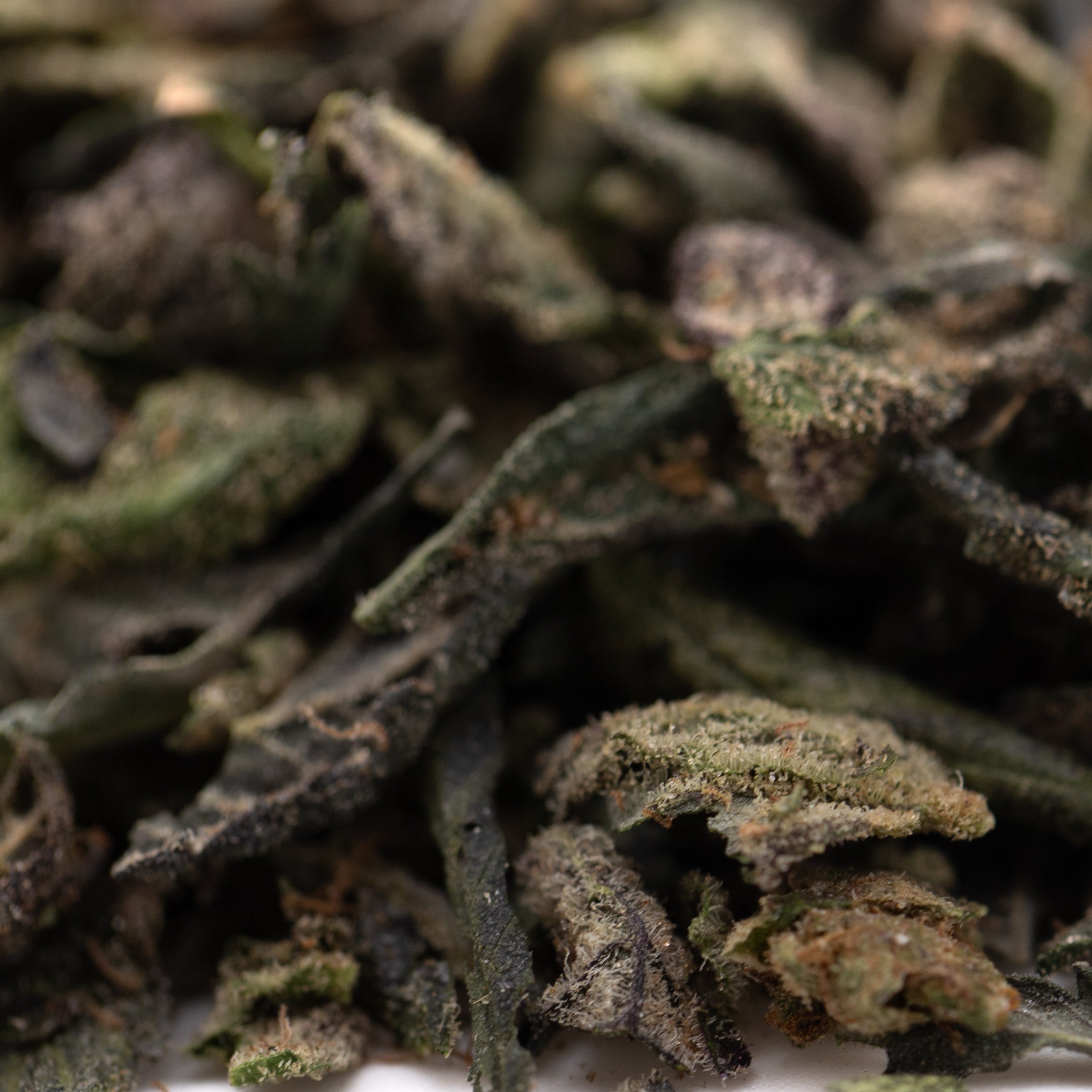 Party Animals Indoor THCa Trim - THCa Flower Shake and Trim Wholesale