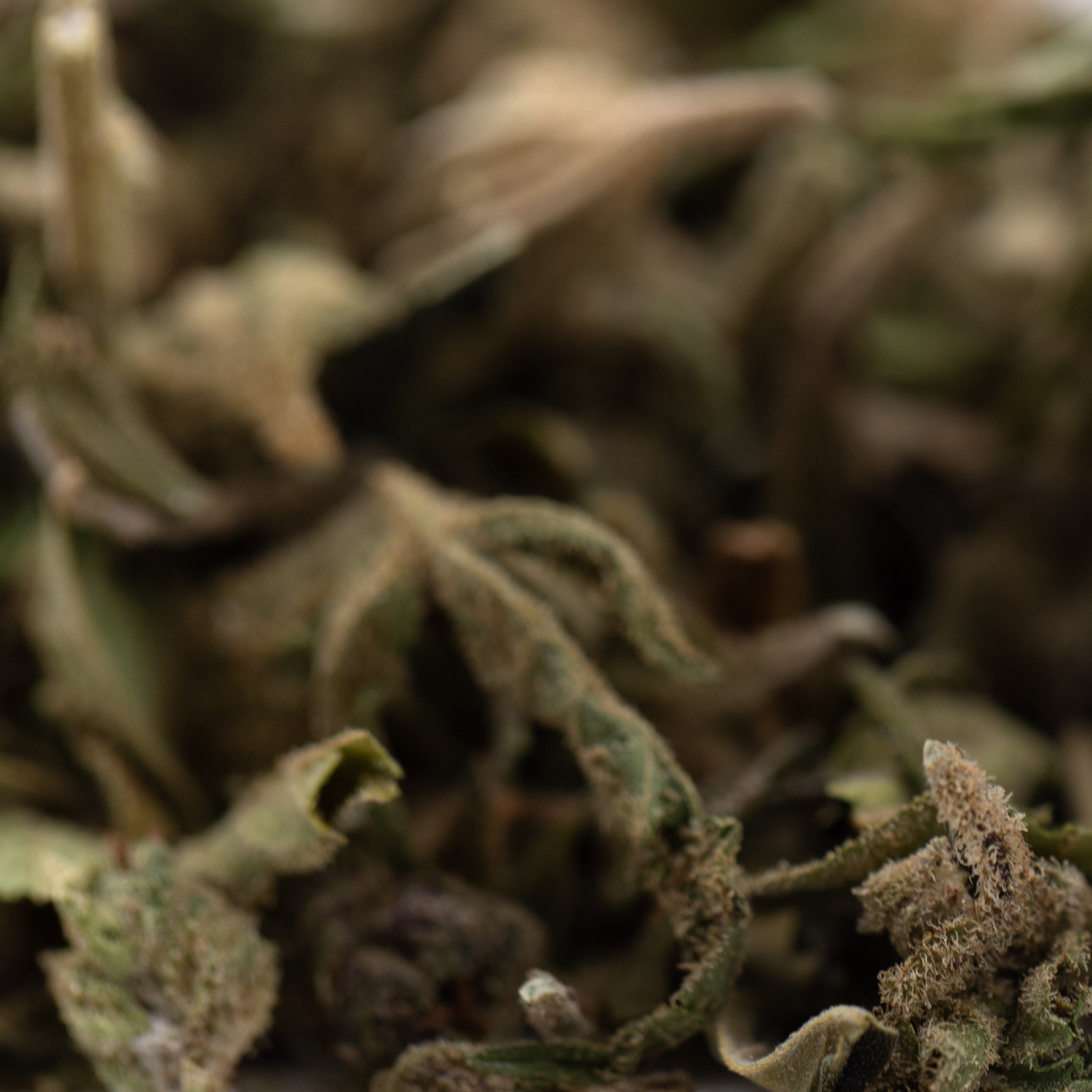 Pound Town THCa Trim - THCa Flower Shake and Trim Wholesale