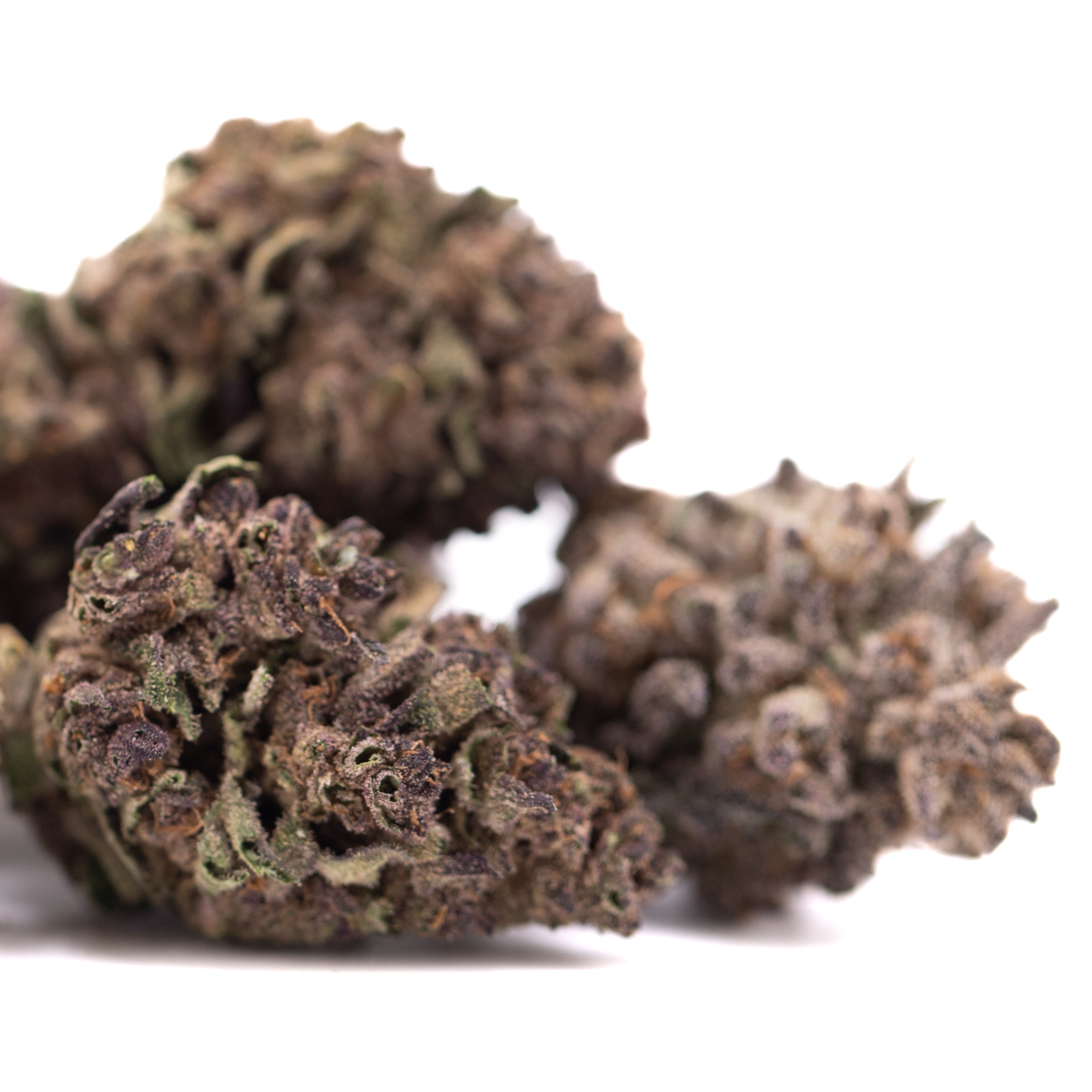 Purple Queen THCa Hemp Flower Greenhouse - THCa Flower