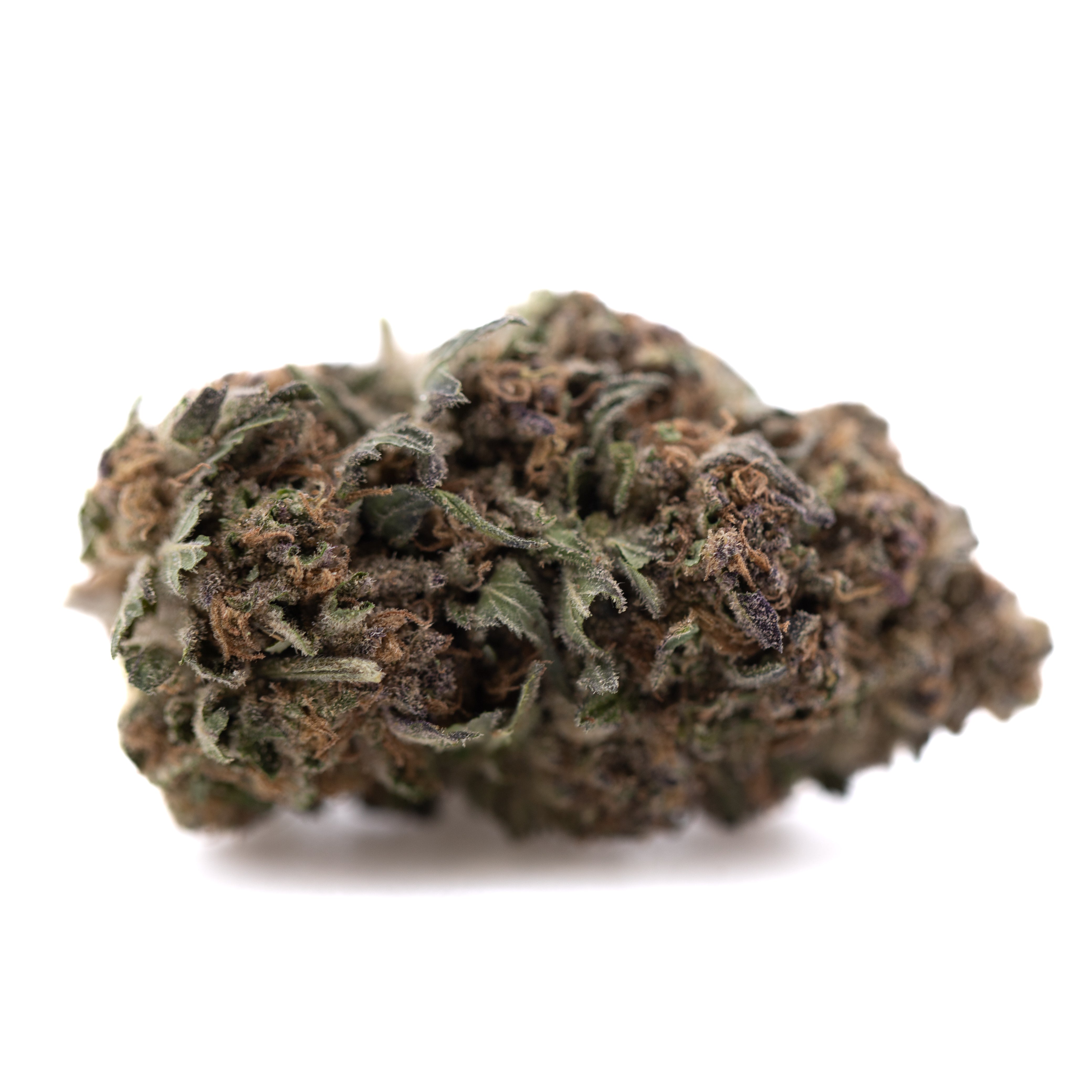 Tropical Punch THCa Hemp Flower Greenhouse Wholesale - Tropical Punch ...