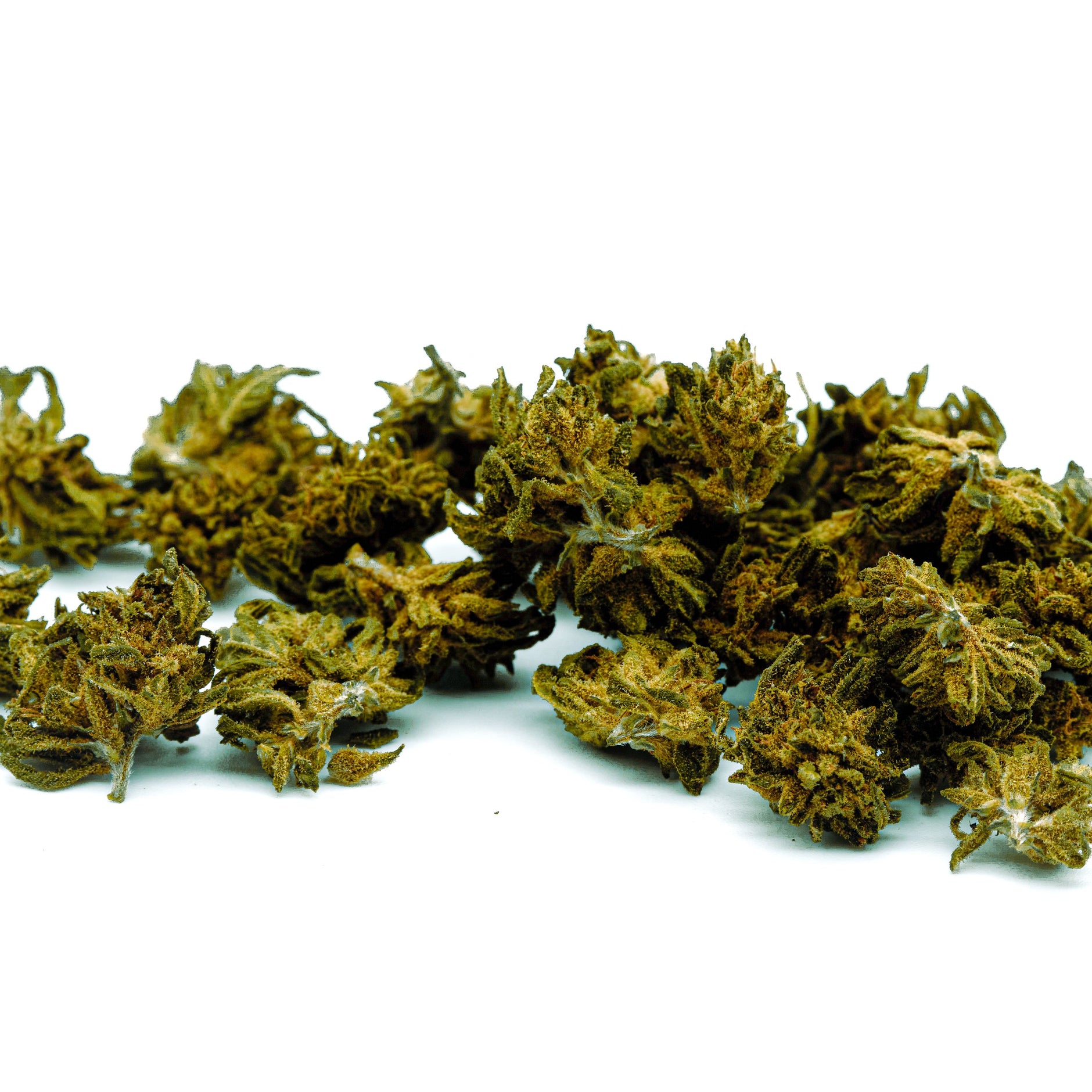 Hemp Flower Wholesale - Hemp Wholesale - Oregon Hemp Flower Wholesale